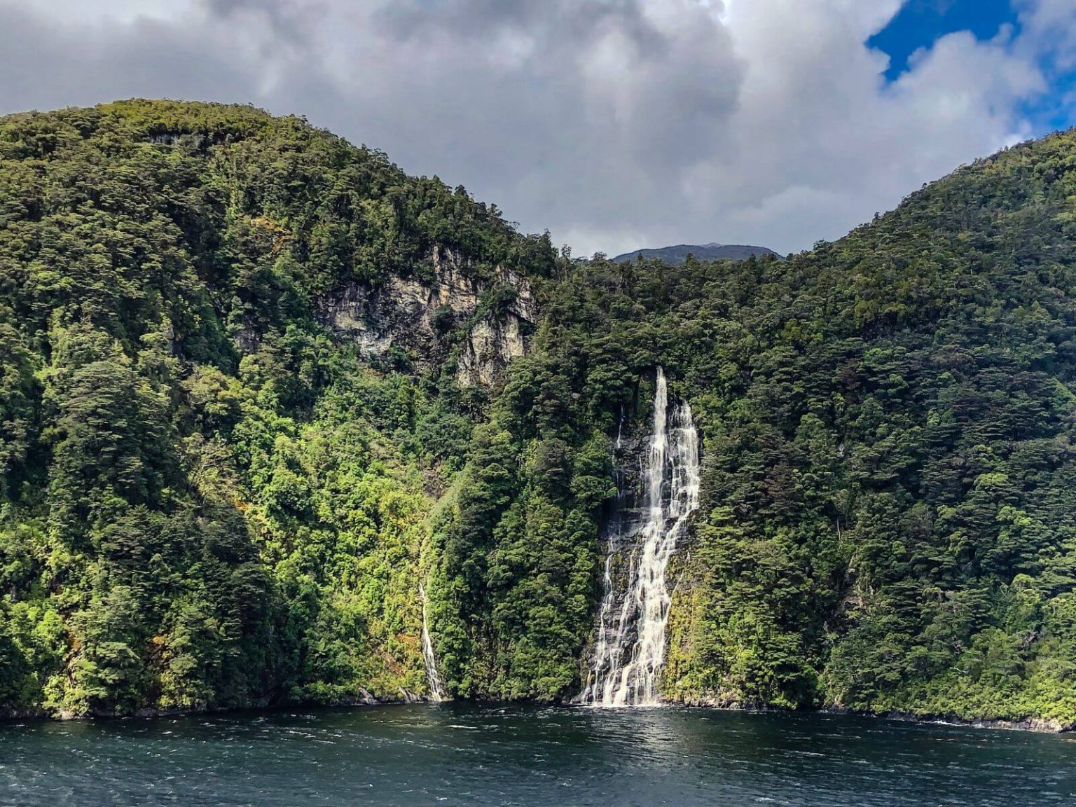What Makes Cruising The Sounds New Zealand Spectacular