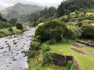 Karangahake Railway Tunnel Walk - A Complete Guide