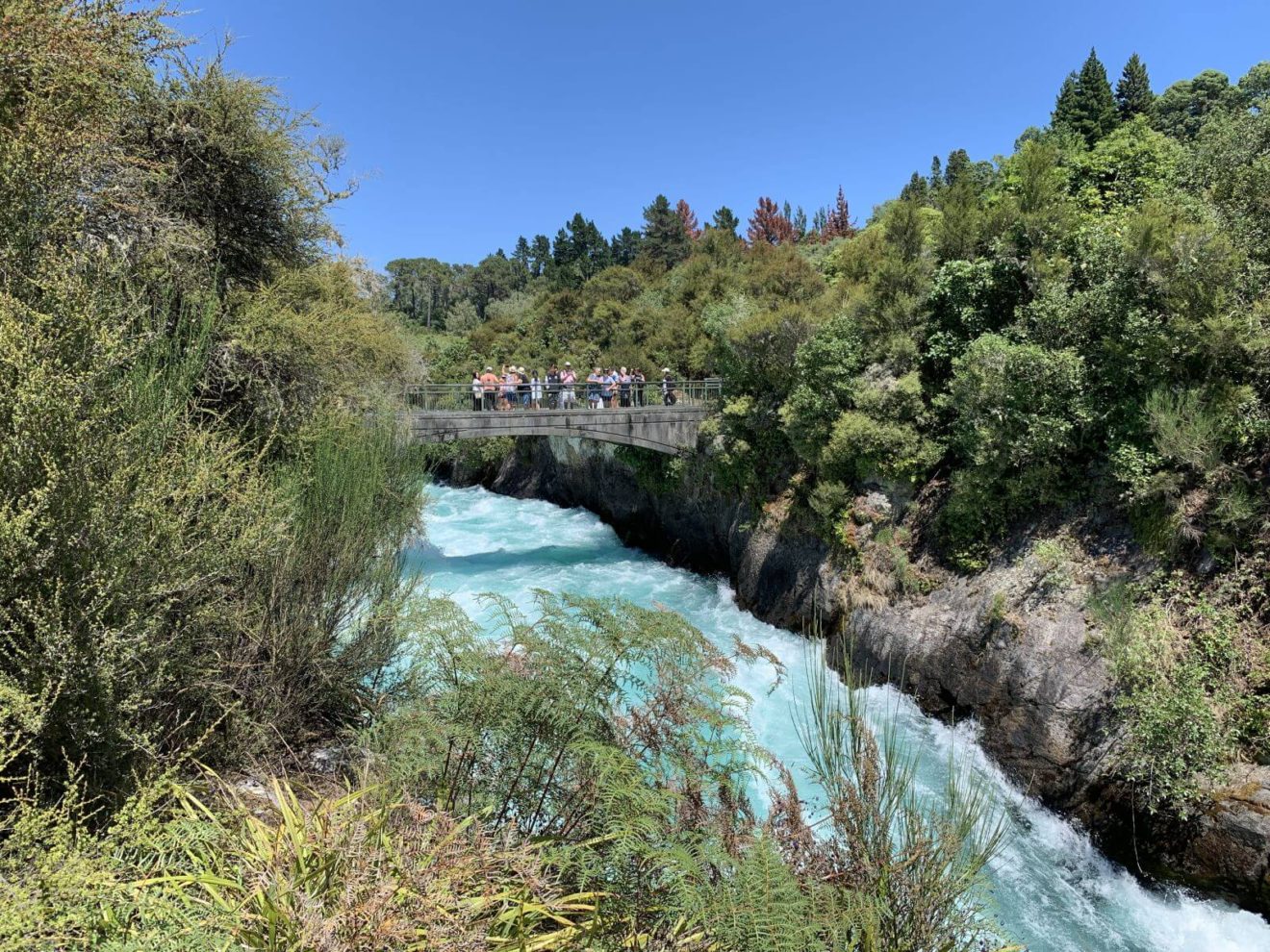 Huka Falls River Cruise Review