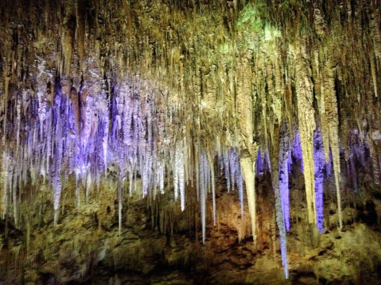 Ngilgi Cave Tour Review 2025