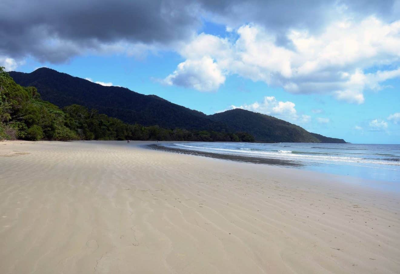 Cairns To Cape Tribulation & Daintree | Drive Or Tour?