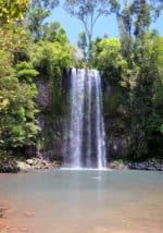 Popular Atherton Tablelands Waterfalls Tour Review 2021