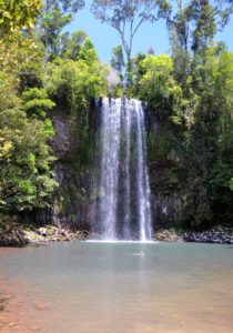 Popular Atherton Tablelands Waterfalls Tour Review 2021