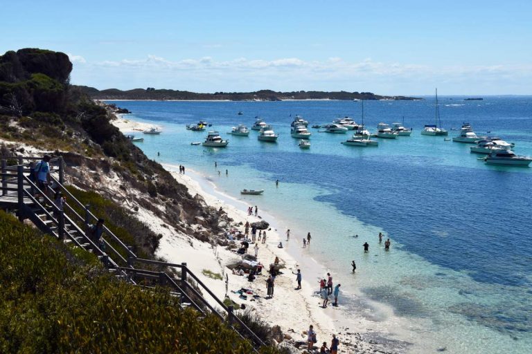 Rottnest Island Guide: Is It Worth Visiting? 2024