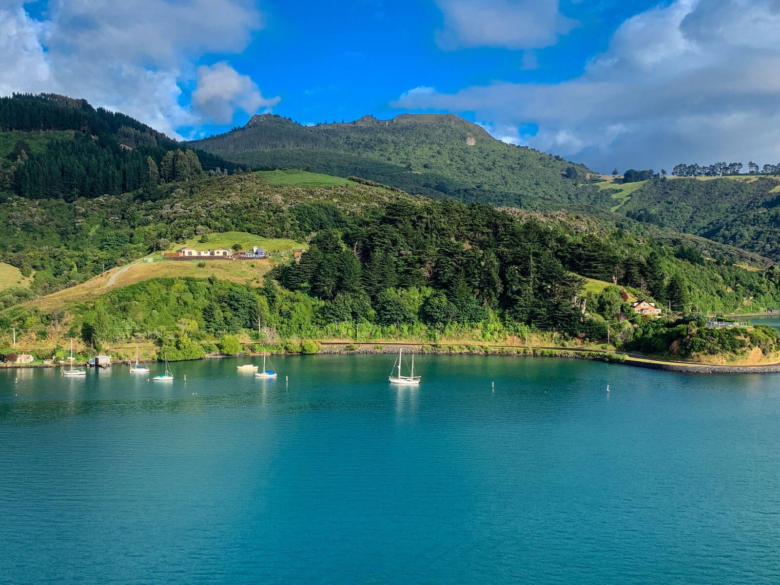 The Best Dunedin Tours From Cruise Ships