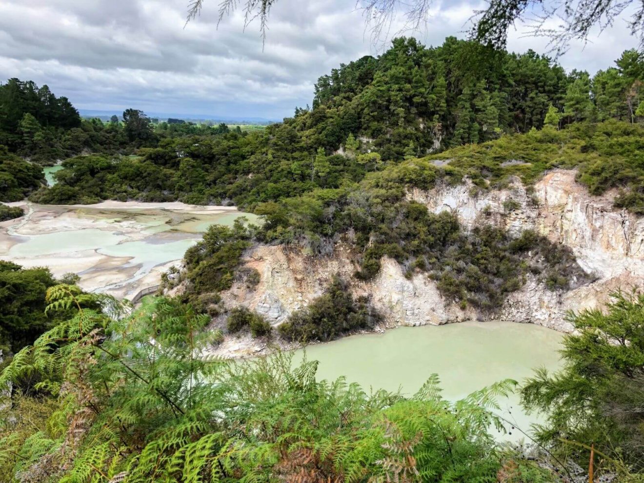Wai-O-Tapu Thermal Wonderland Review: A Must-Visit In New Zealand’s ...