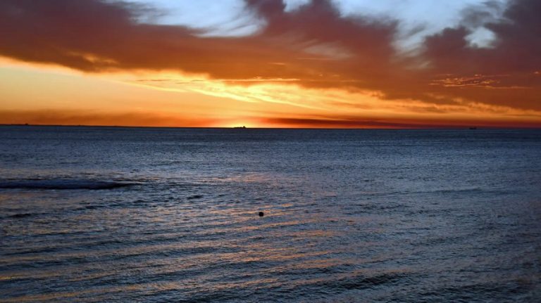 15 Best Beaches In Perth: A Locals Guide