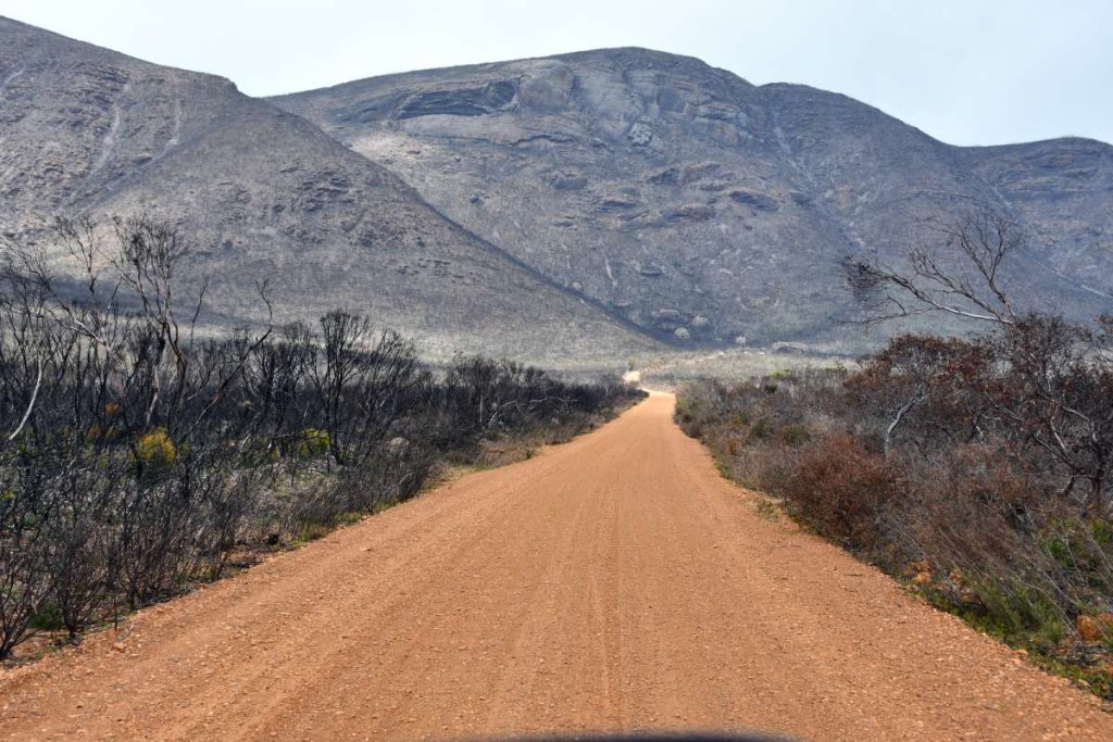 Mount Barker WA Guide: The Best Of What The Town Has To Offer