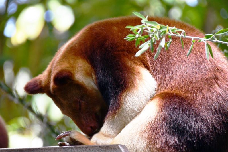 Man Made Landmarks In Western Australia: Comprehensive Guide 2025