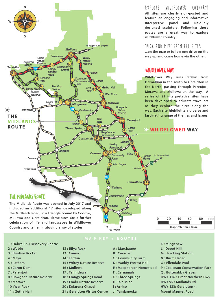 Wildflower Country Western Australia | A Nature Lover's Dream