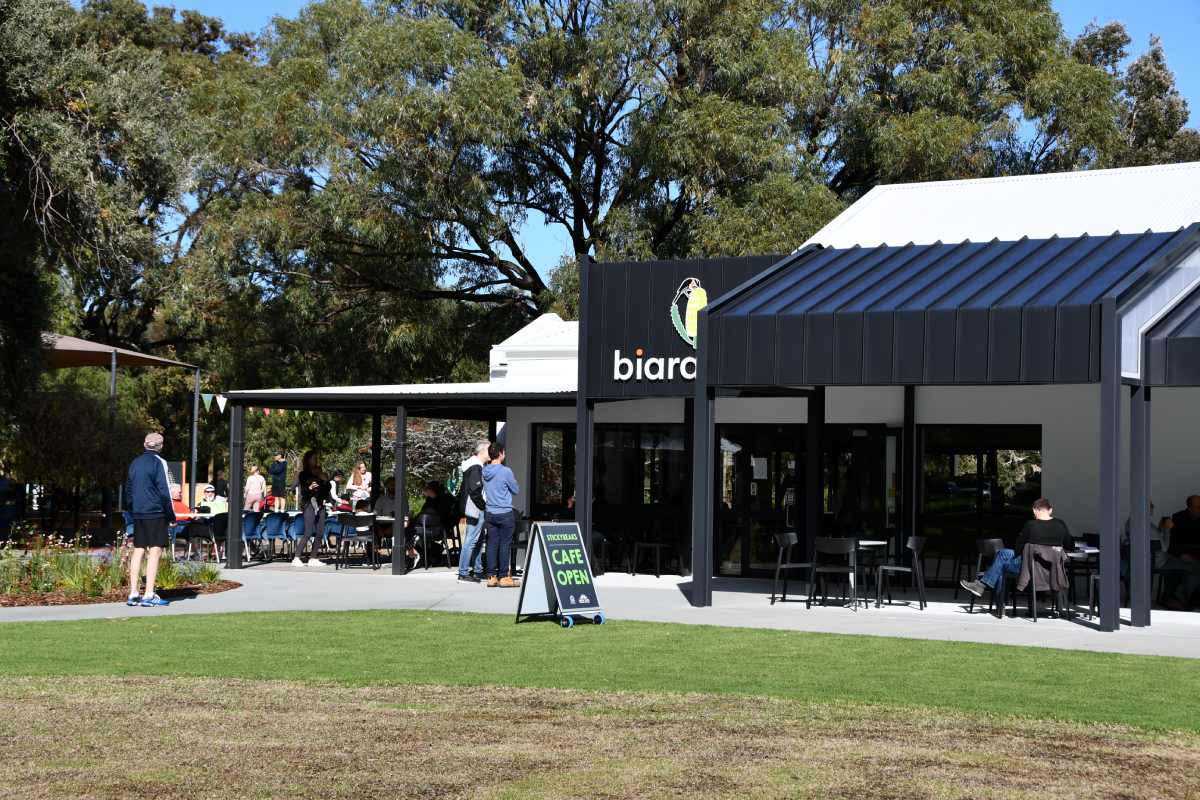 What To Do In Kings Park Perth: Locals Informative Guide 2024